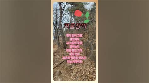 미스트롯3 정서주 겨울장미 Youtube