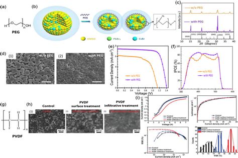 Polymer Assisted Crystallization A Molecular Structure Of Download Scientific Diagram