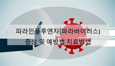 파라인플루엔자파라바이러스 증상 및 예방법 치료방법 호율안 소소한 이야기