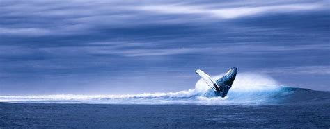 Go V1183 Idea Debug 本地源代码调试 知乎