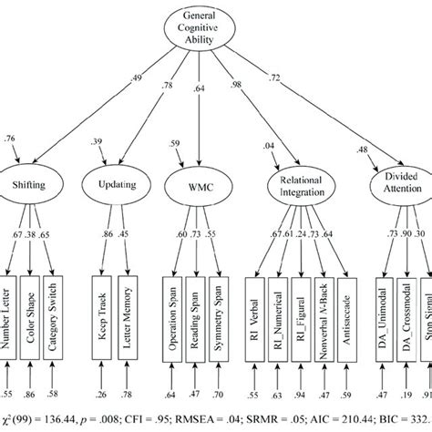 Hierarchical Model Of Cognitive Latent Variables The Proportion Of Download Scientific Diagram