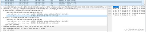 协议分析2：ip数据报分析p协议数据报进行分析 Csdn博客