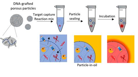 Open Positions Guillaume Gines Phd