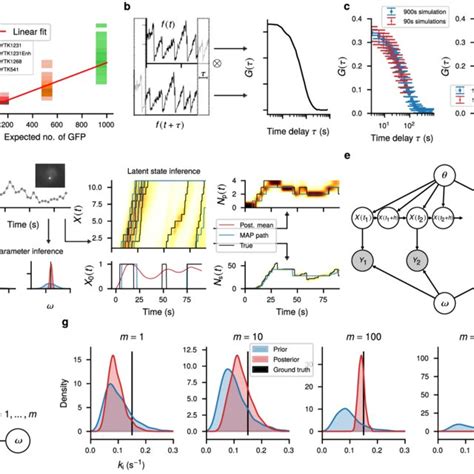 Inference From Single Cell Traces A Intensity Distribution Of The