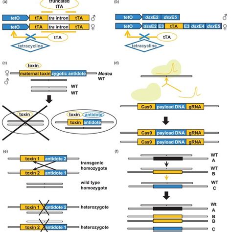 Strategies For The Biosynthesis Of Lepidopteran Sex Pheromones Blue Download Scientific
