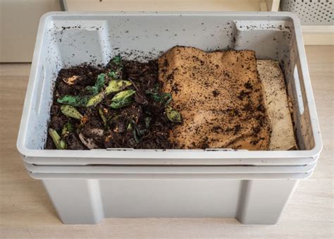 How To Make An Easy DIY Worm Farm Self Sufficient Me