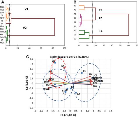 agglomerative hierarchical clustering of variables a of observation