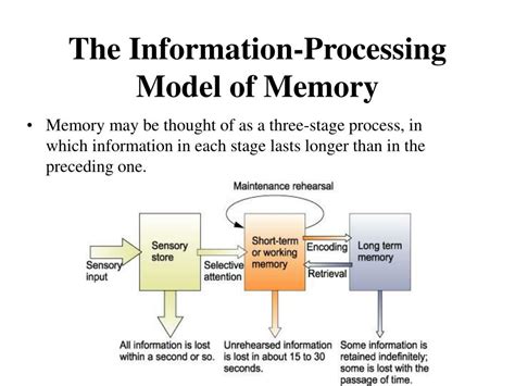 Ppt Memory Powerpoint Presentation Free Download Id1782121