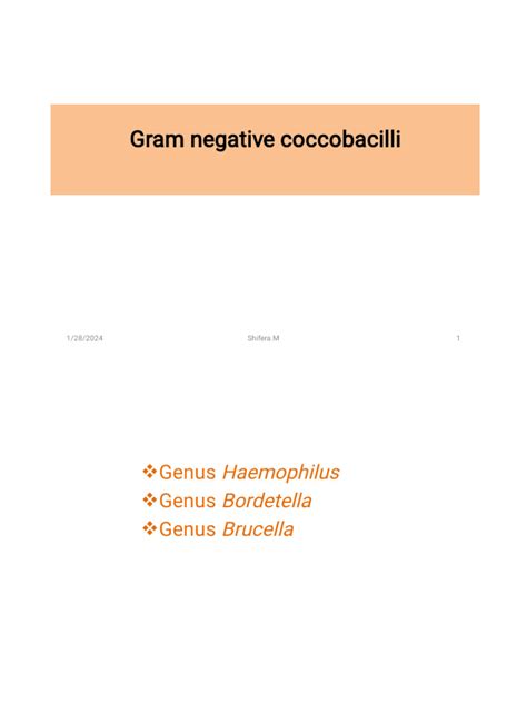 Gram Negative Coccobacilli 1 Pdf