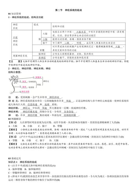 人教版生物七年级下册 第六章 人体生命活动的调节 第二节 神经系统的组成 同步练习 （word版，答案和试题未分开） 21世纪教育网