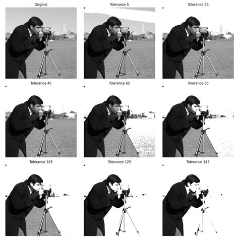 Flood Fill Skimage Documentation