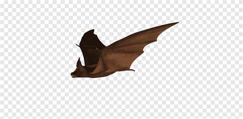 Летучие мыши коричневая летучая мышь Png Pngegg