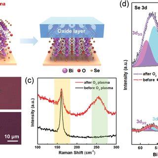 A Schematic Illustration Of Oxygen Plasma O Plasma Treatment On Download Scientific Diagram