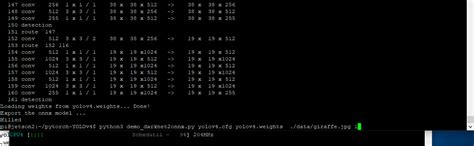converting yolov4 weights to onnx using pytorch runs out of memory