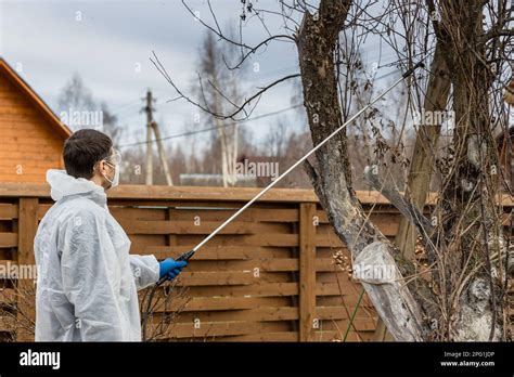 Using Chemicals In The Garden Orchard Gardener Applying An Insecticide A Fertilizer To His Fruit