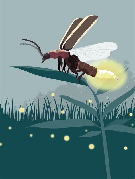 Lightning Bugs