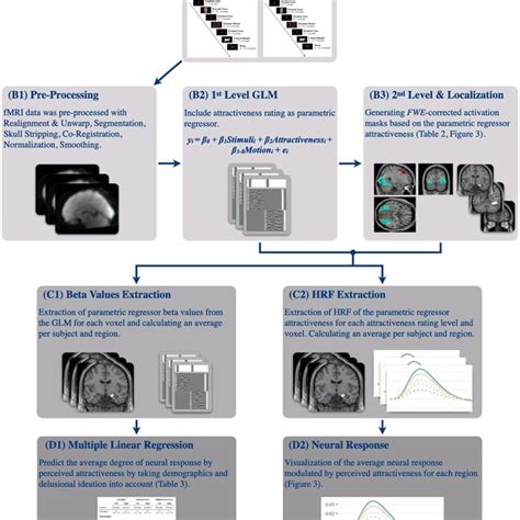 Schematic Overview Of The Imaging Data Analysis A1 Fmri Data Download Scientific Diagram