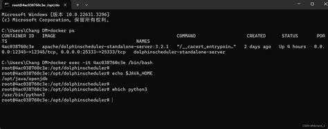 docker部署dolphinscheduler stand alone并集成datax dolphinscheduler datax csdn博客
