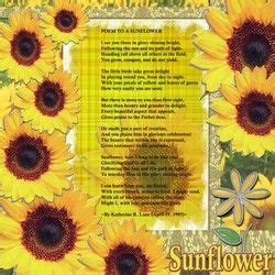Sunflower Poems Sunflower Poem Ideas Poem With Sunflower Decoration