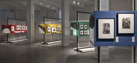 Эксгумация что это зачем нужна документы для проведения процедуры стоимость