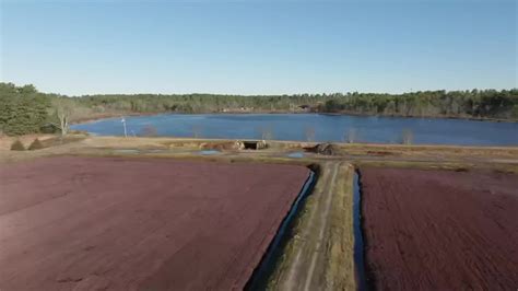 Cc Construction Inc On Linkedin Ccconstruction Sitework Utilitywork Treeremoval