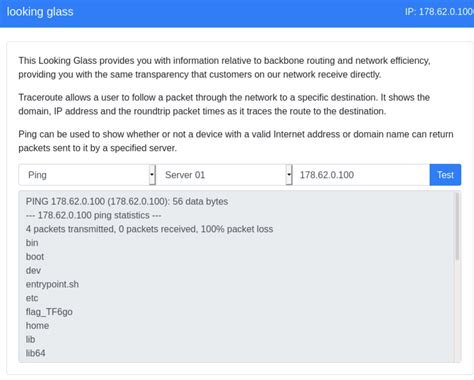 Hackthebox Looking Glass Web Challenge Halcyonic Research