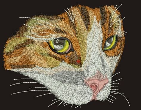 Cat Machine Embroidery Designs Tested Etsy