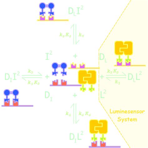 Team Peking Modeling Luminesensor Orthogonality