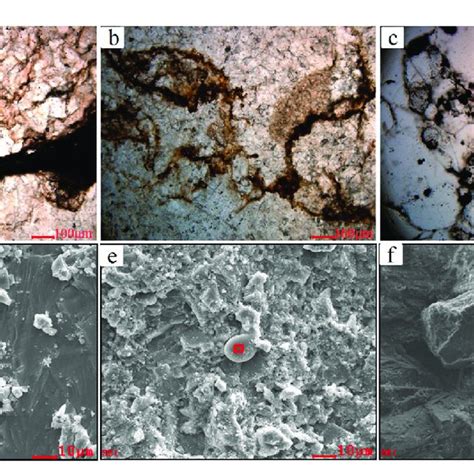 Examples Of Microscopic Images Showing The Optical Characteristics Of
