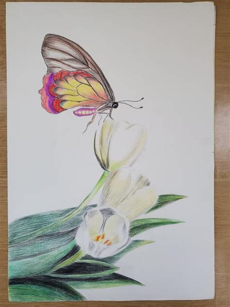 彩铅儿童画 彩铅儿童画图片大全 苗苗知道