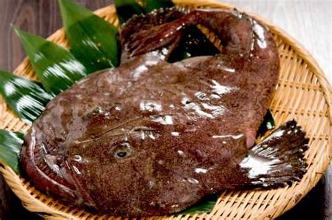 สะดิ้ง In Japan เคยทานปลา Mong Fish Facebook