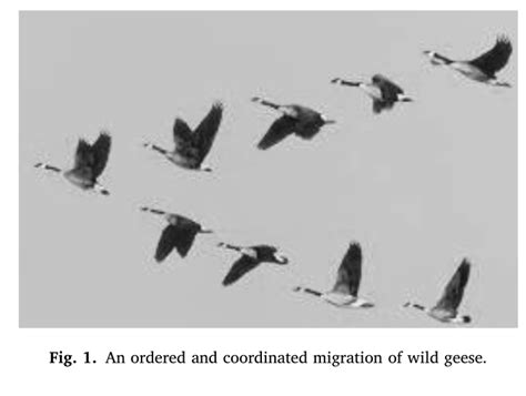 【智能优化算法】雁群优化算法wild Geese Algorithmwga Csdn博客