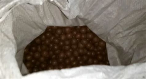 Palm Kernel Cracking Machine High Productivity And Durability