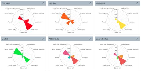Managing Access Risk In Oracle Ebs With Cs Shield