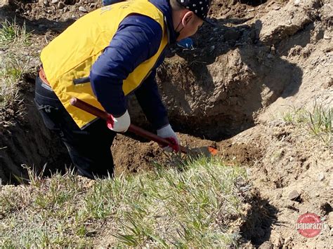 ИМАРТЫНХАН ҮНДЭСНИЙ СОЁЛ АМРАЛТЫН ХҮРЭЭЛЭНД МОД ТАРИЛАА