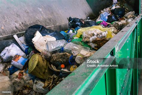 재활용 공장의 선별 라인에 폐기물 용기 컨테이너에서 쓰레기를 분리하는 프로세스입니다 패키지 철캔 및 플라스틱 병 0명에 대한 스톡 사진 및 기타 이미지 Istock