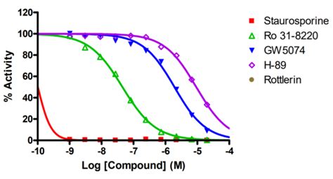 Lok Stk10 Kinase Assay Service Reaction Biology