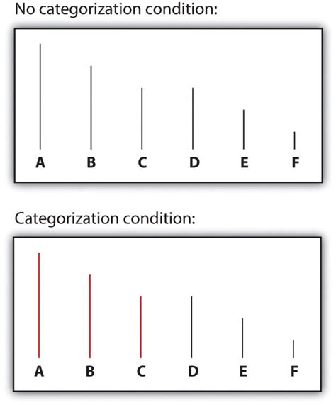 11 1 Social Categorization And Stereotyping Principles Of Social Psychology 1st