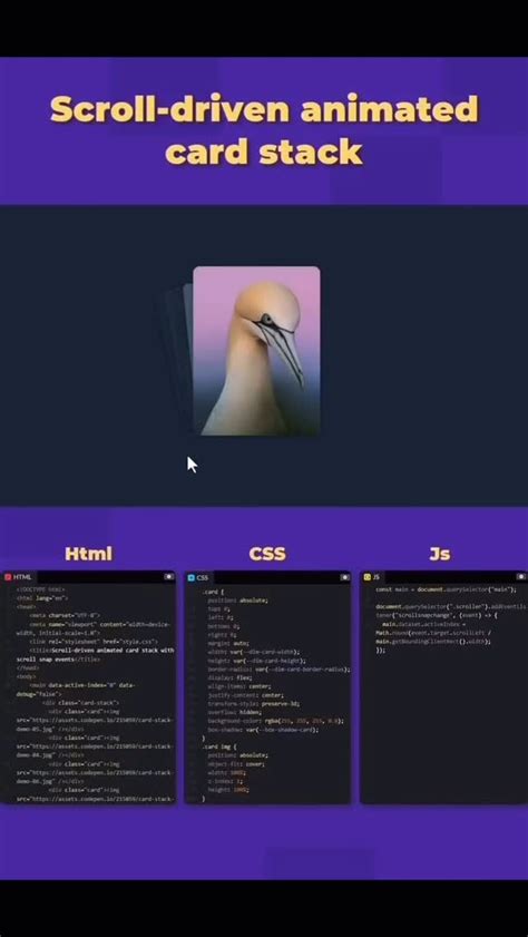 Vip Codex Vipcodex • Instagram Photos And Videos