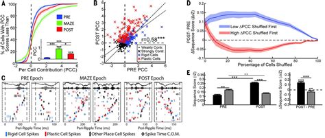 Diversity In Neural Firing Dynamics Supports Both Rigid And Learned Hippocampal Sequences Science