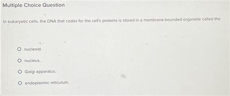 solved multiple choice questionin eukaryotic cells the dna