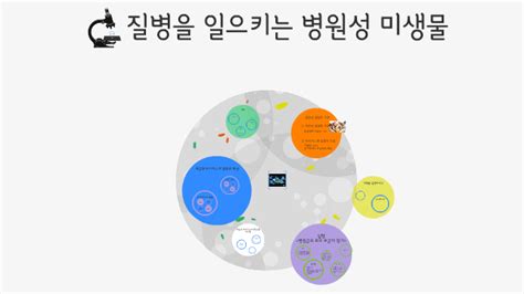 질병을 일으키는 병원성 미생물 By 채완 박 On Prezi