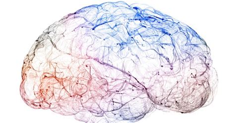 뉴런 계산모델 60년만에 업데이트ai인공신경망 개선