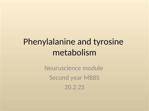 Phenyl Alanine And Tyrosine Metabolic Pathway Ppt