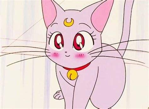 나 갤럭시유저 에어팟이 사고싶다 인스티즈 Instiz 일상 카테고리