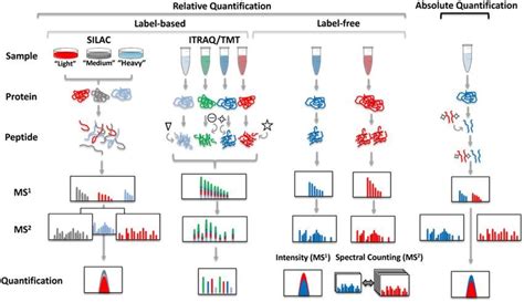 Label Free Vs Label Based Proteomics A Comprehensive Comparison