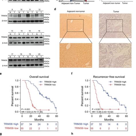 Bioinformation Analysis Of RNA Seq Assays A Heat Map Showing Download Scientific Diagram