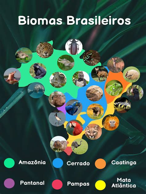Jogo Biomas Brasileiros Pdf