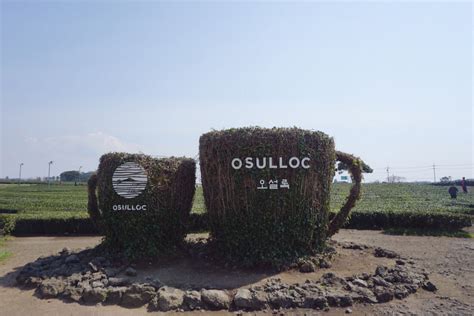 Osulloc Tea Museum Living Nomads Travel Tips Guides News