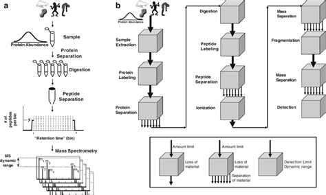 A Model Of A Common Proteomics Experiment B Generalized Model Of A Download Scientific